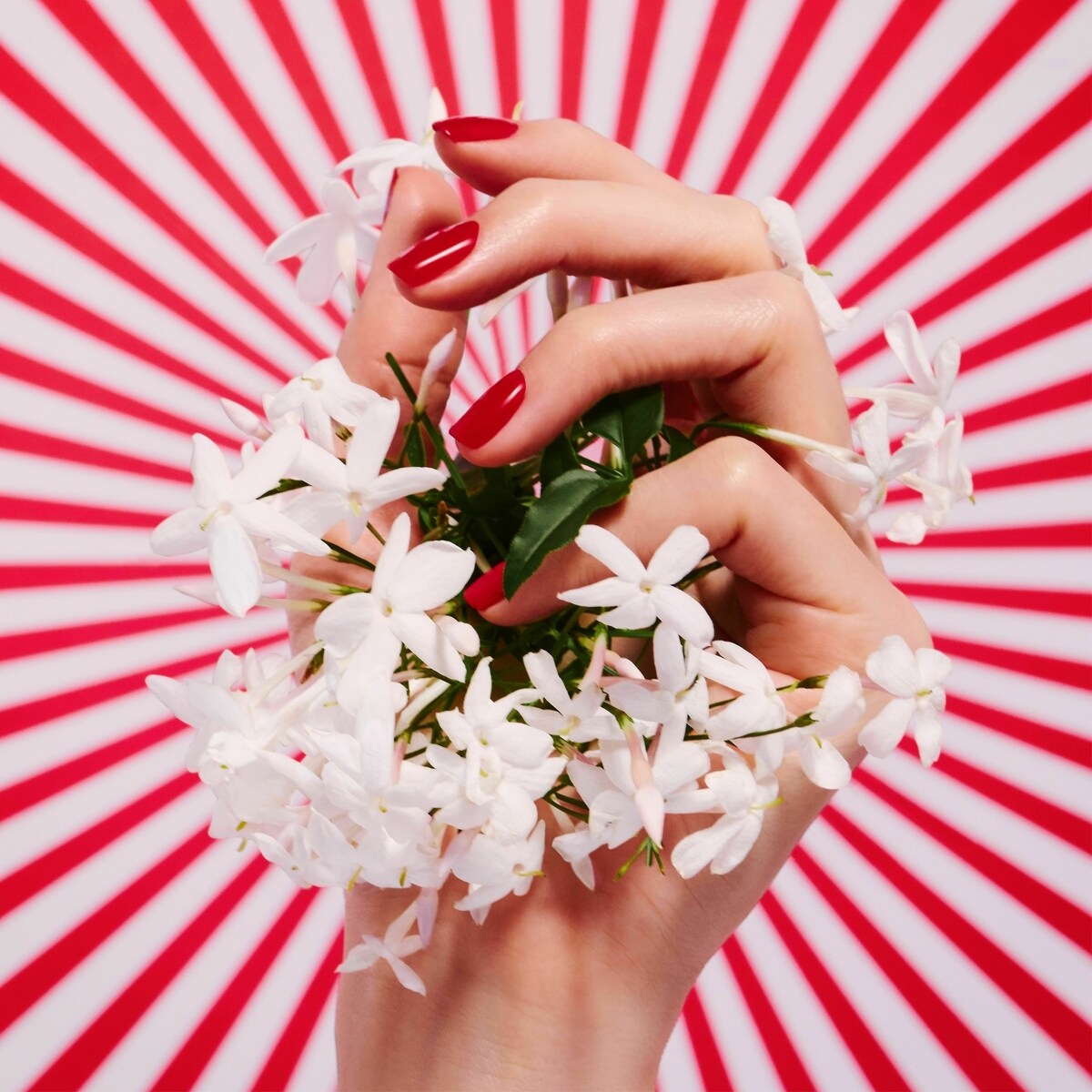 Escada Fairy Love vs Candy Love vs Show Me Love Perfume Review | Soki ...