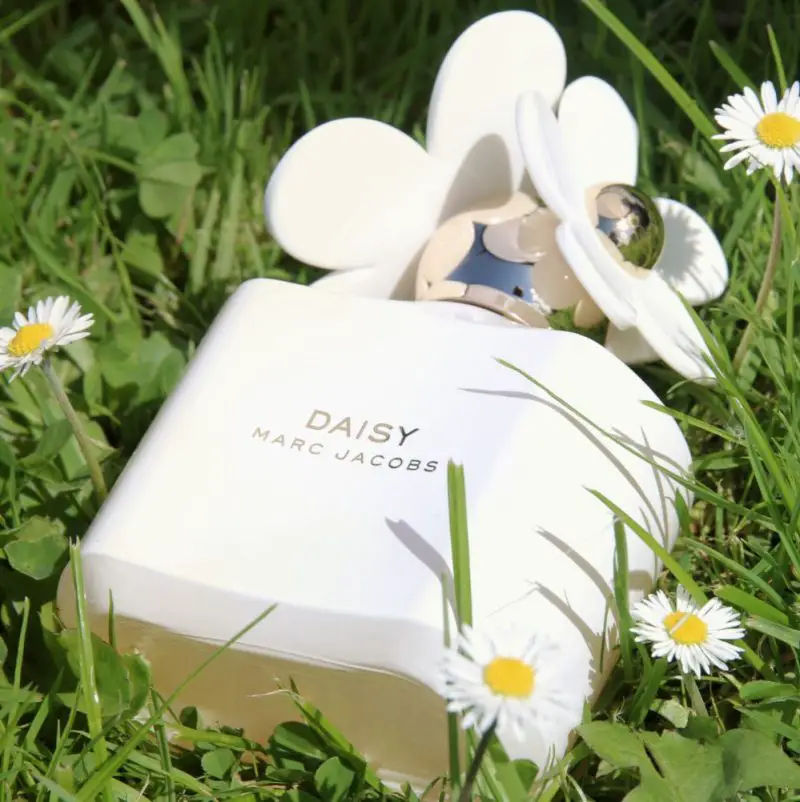 Marc Jacobs Daisy Perfume Range Review
