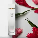 A Guide To The Best Ginger Perfumes | SOKI LONDON