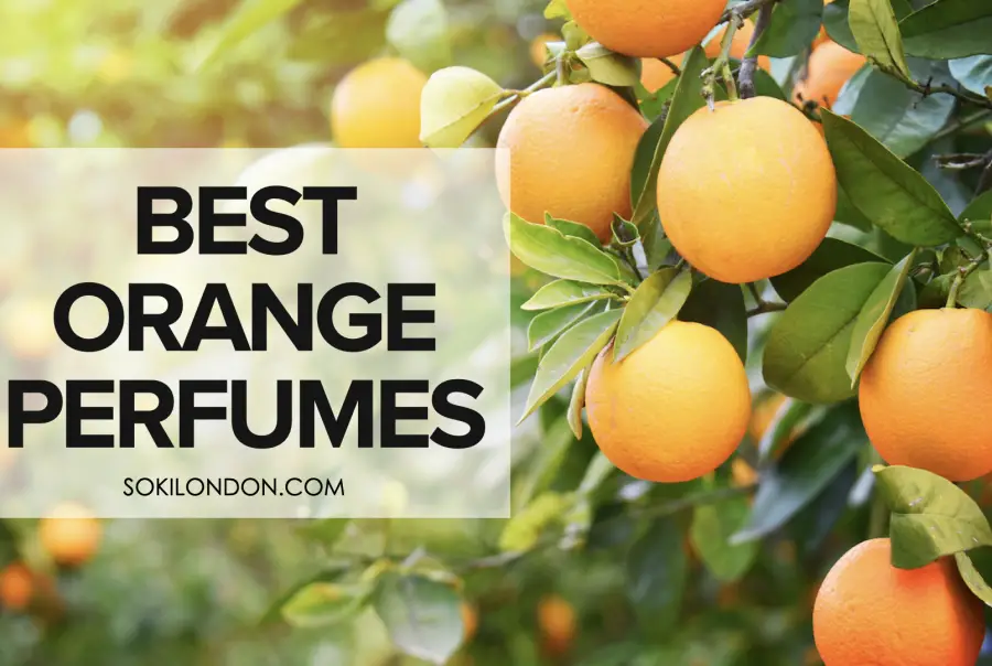 Best Spring Perfumes | Soki London