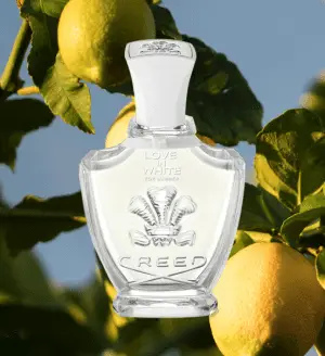 Women’s Creed Perfumes Review | SOKI LONDON