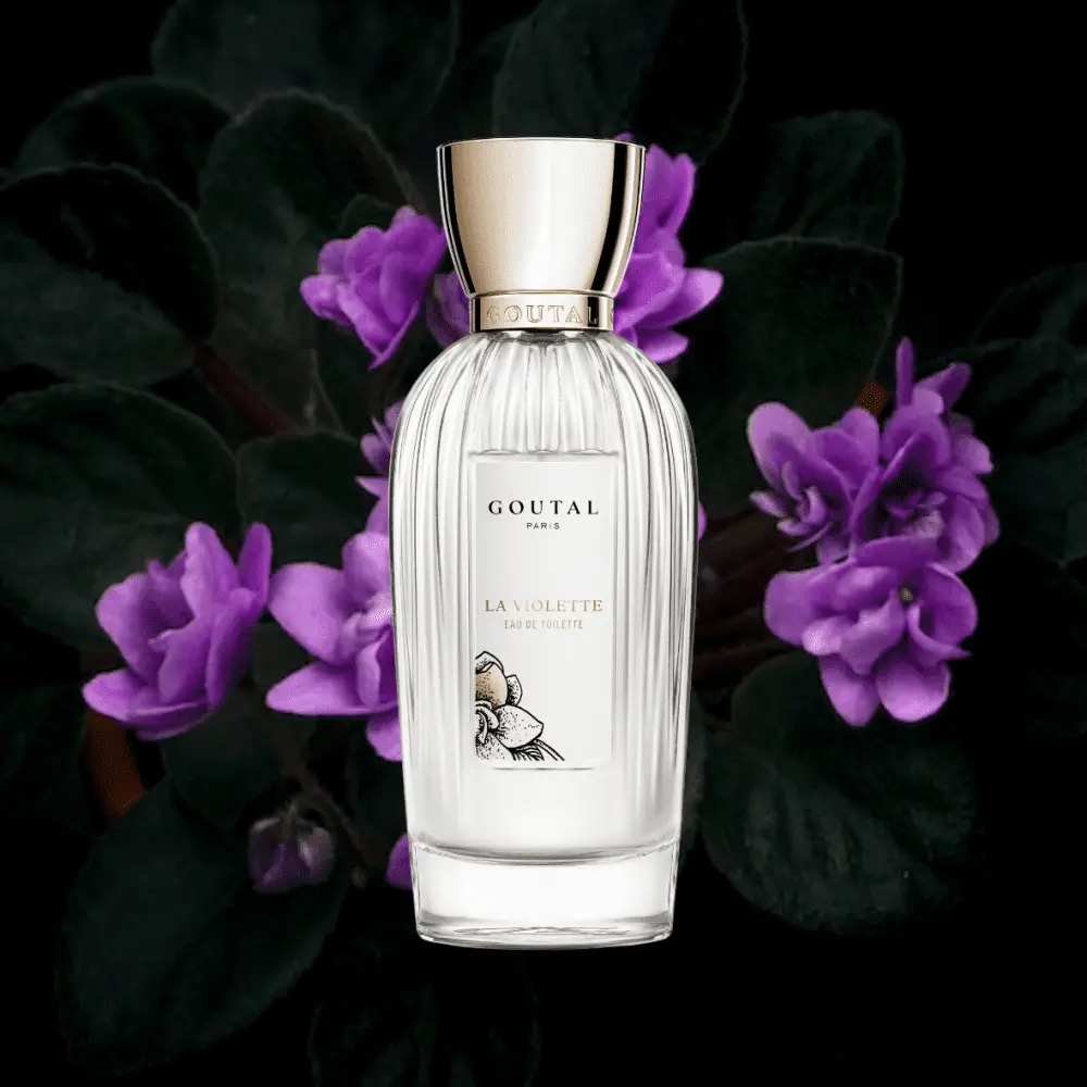 Best Violet Perfumes | SOKI LONDON