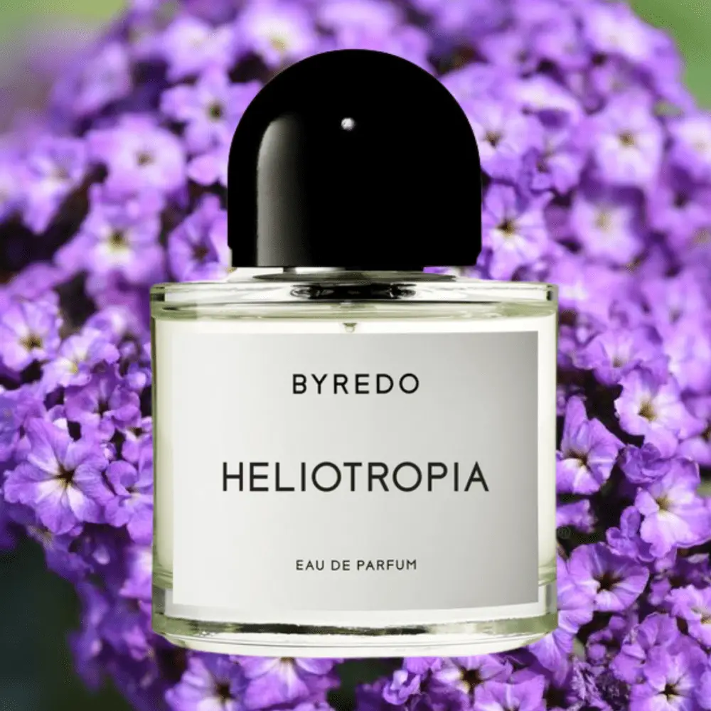 Best Heliotrope Perfumes | SOKI LONDON
