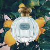 The Ultimate Guide To Every Tocca Perfume | SOKI LONDON