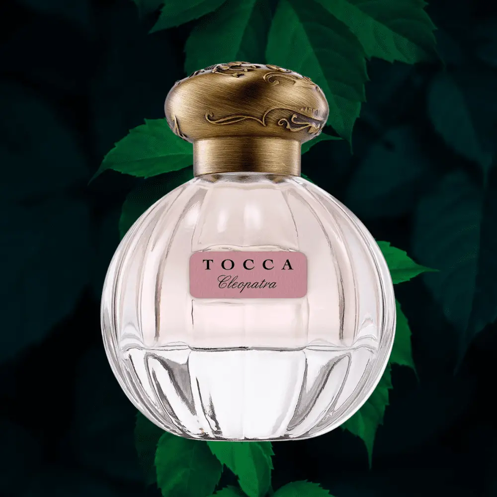 The Ultimate Guide To Every Tocca Perfume | SOKI LONDON