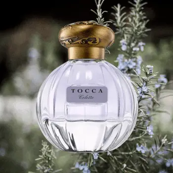 The Ultimate Guide To Every Tocca Perfume | SOKI LONDON