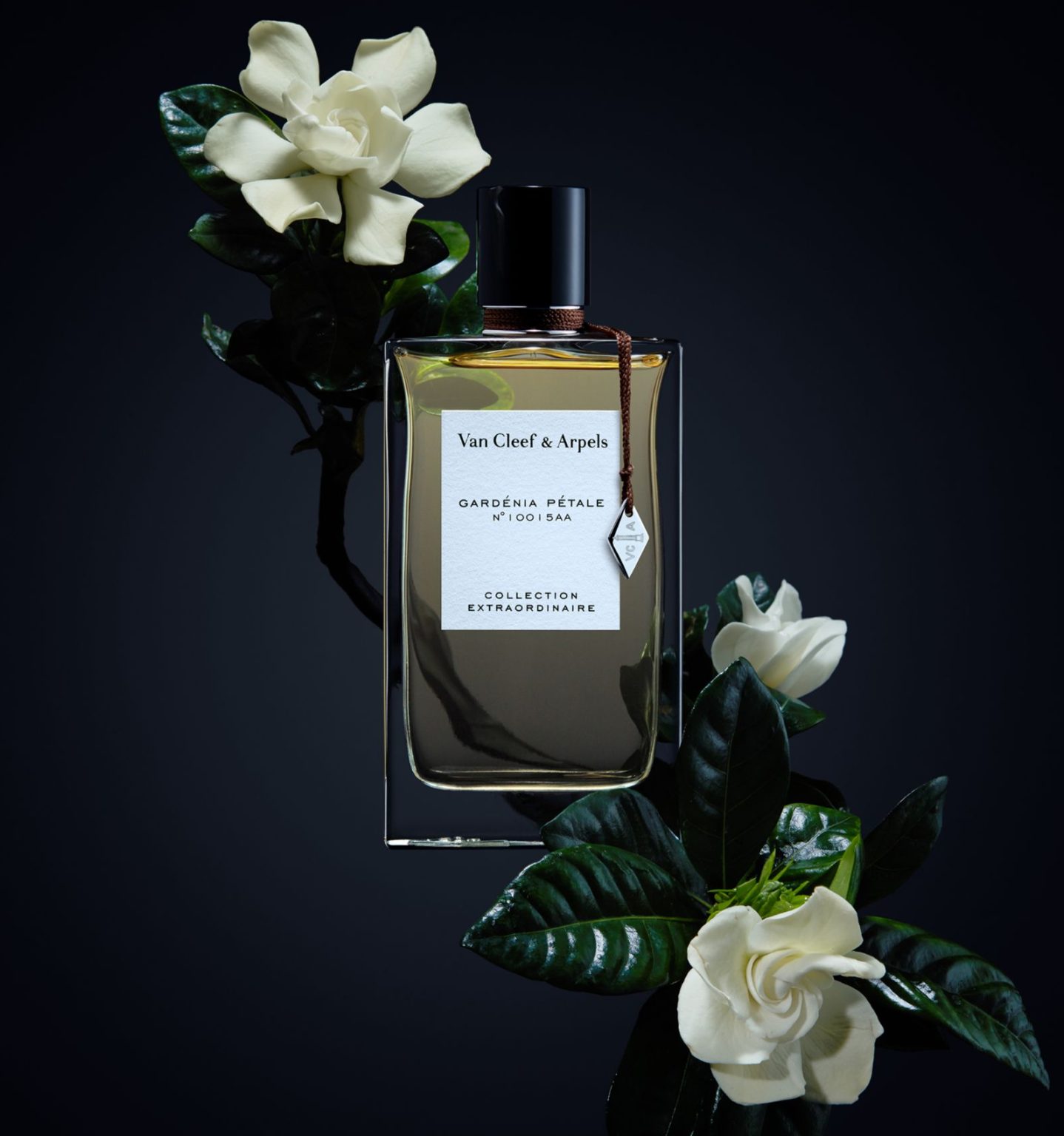 The Ultimate Guide To The Best Gardenia Perfumes | SOKI LONDON
