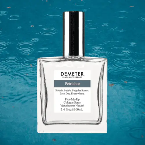 Perfumes That Smell Like Rain | SOKI LONDON