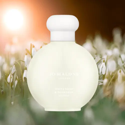 The Ultimate Guide To The Best Green Perfumes | SOKI LONDON