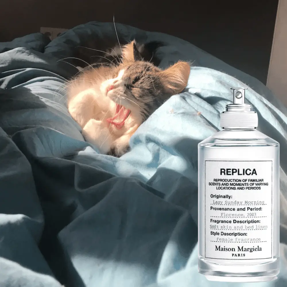 The Top 10 Unisex Fragrances | SOKI LONDON