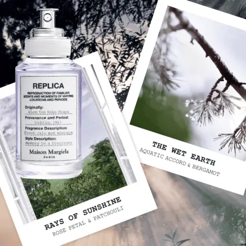 Perfumes That Smell Like Rain | SOKI LONDON