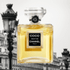 What’s the difference between Chanel Coco and Coco Noir Perfumes | SOKI ...