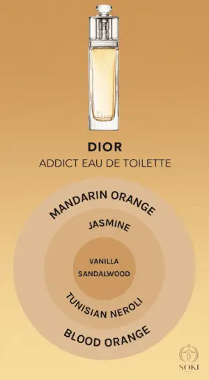 A Guide To The Dior Addict Perfumes | SOKI LONDON