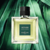 The Top 10 Vetiver Fragrances | SOKI LONDON