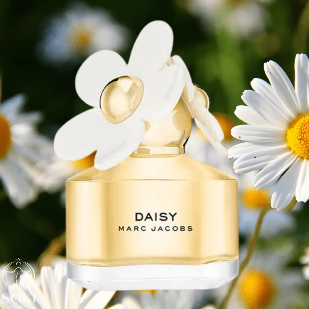 The Ultimate Guide To Every Marc Jacobs Daisy Perfume | SOKI LONDON