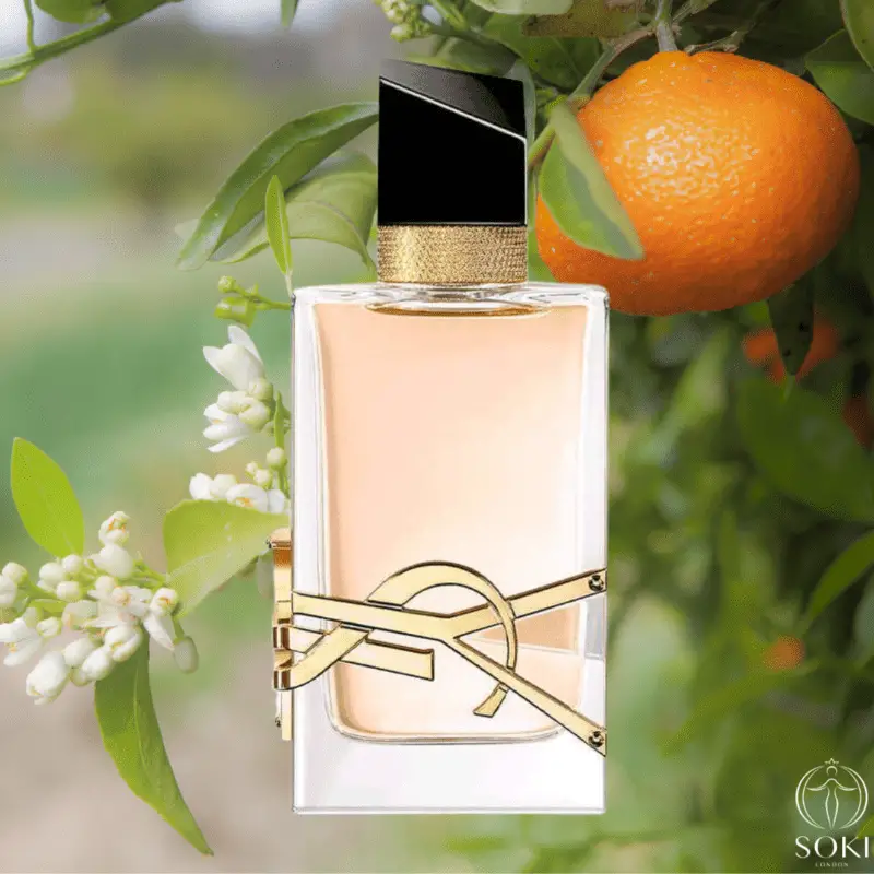 The Essential Guide to Choosing the Best Orange Blossom Perfume | SOKI ...