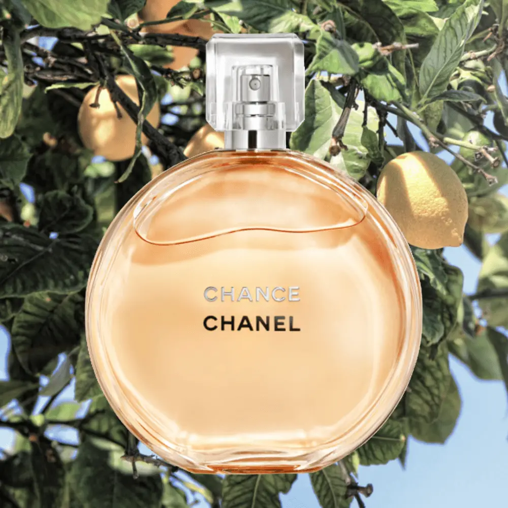 The Ultimate Guide To The Chanel Chance Perfume Range | SOKI LONDON