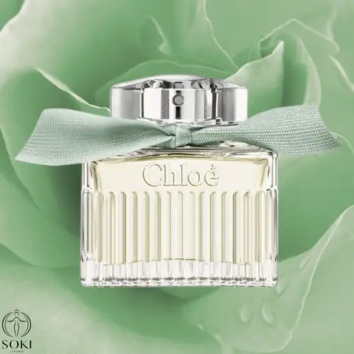 The Ultimate Guide to the Chloé Signature Perfumes | SOKI LONDON