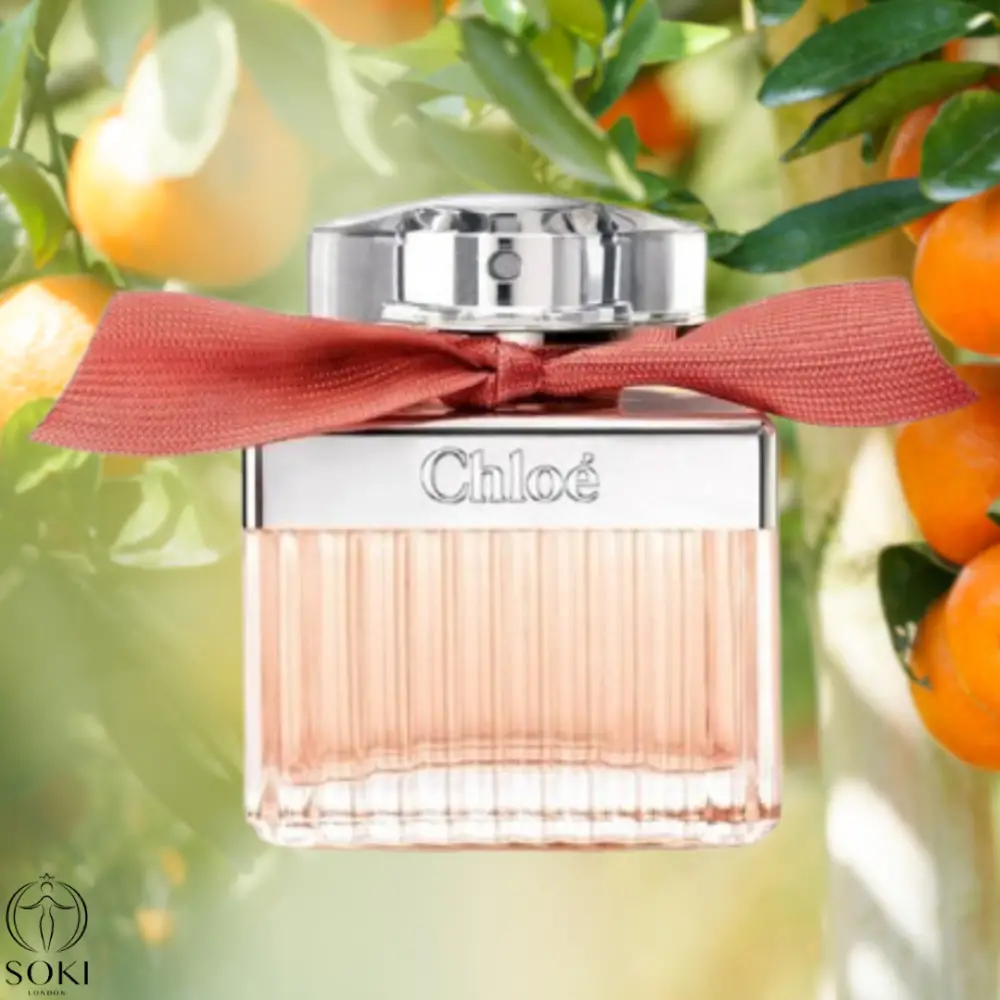 The Ultimate Guide to the Chloé Signature Perfumes | SOKI LONDON