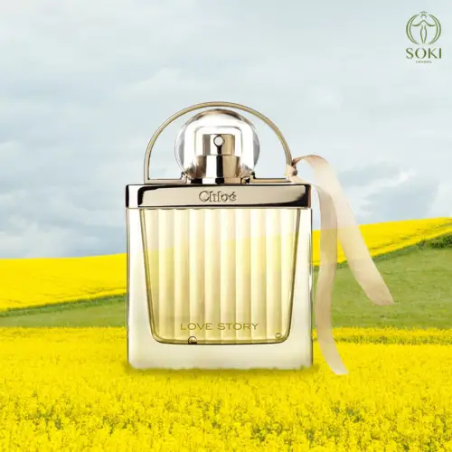 The Ultimate Guide To The Chloé Love Story Perfumes | SOKI LONDON