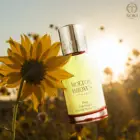 The Ultimate Guide To The Best Pink Pepper Perfumes | SOKI LONDON