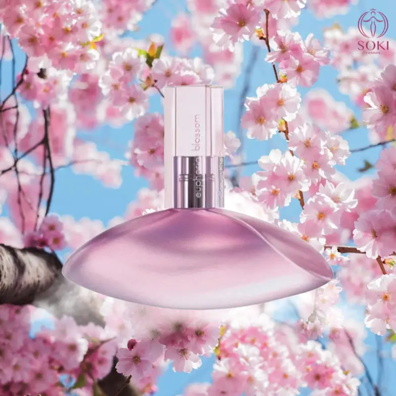 The Ultimate Guide To Every Calvin Klein Euphoria Perfume | SOKI LONDON