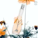 The Ultimate Guide To Jennifer Lopez’s JLo Glow Perfume Range | SOKI LONDON