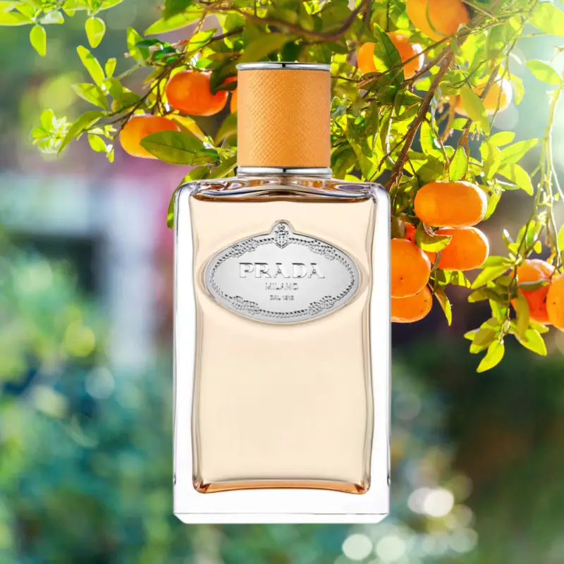 The Ultimate Guide To The Prada Infusions Fragrances | SOKI LONDON