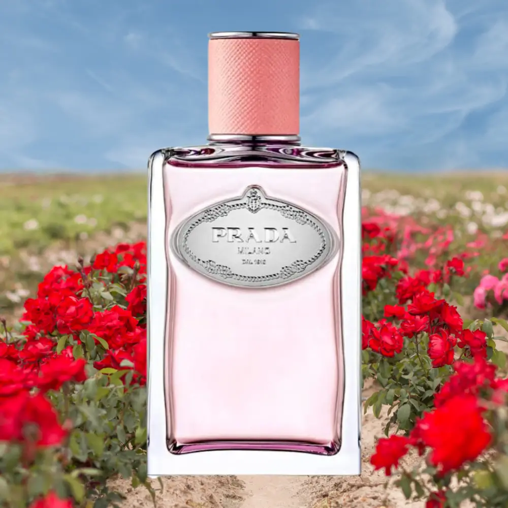 The Ultimate Guide To The Prada Infusions Fragrances | SOKI LONDON