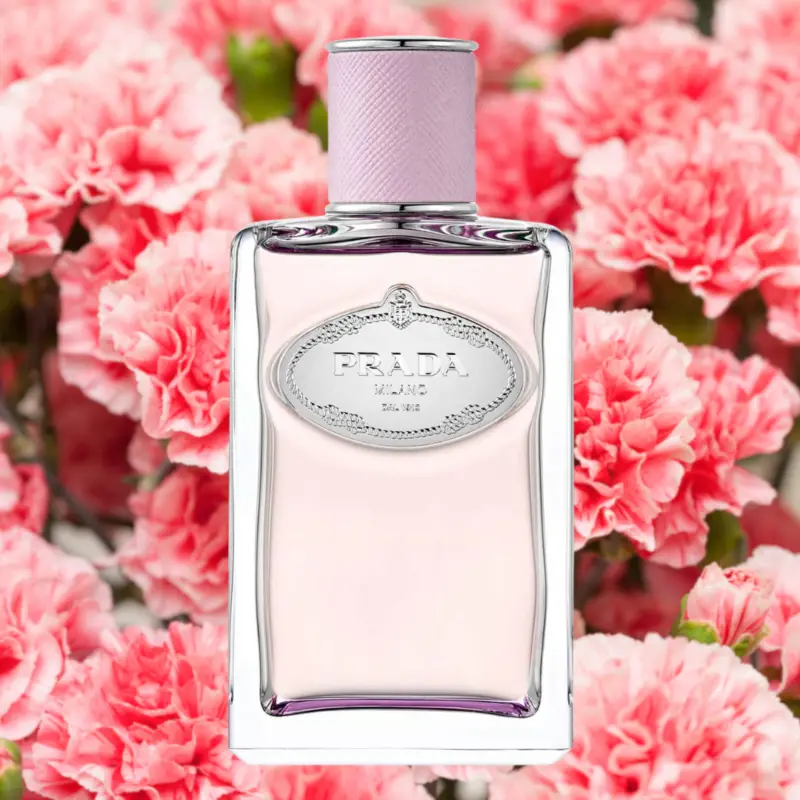 The Ultimate Guide To The Prada Infusions Fragrances | SOKI LONDON