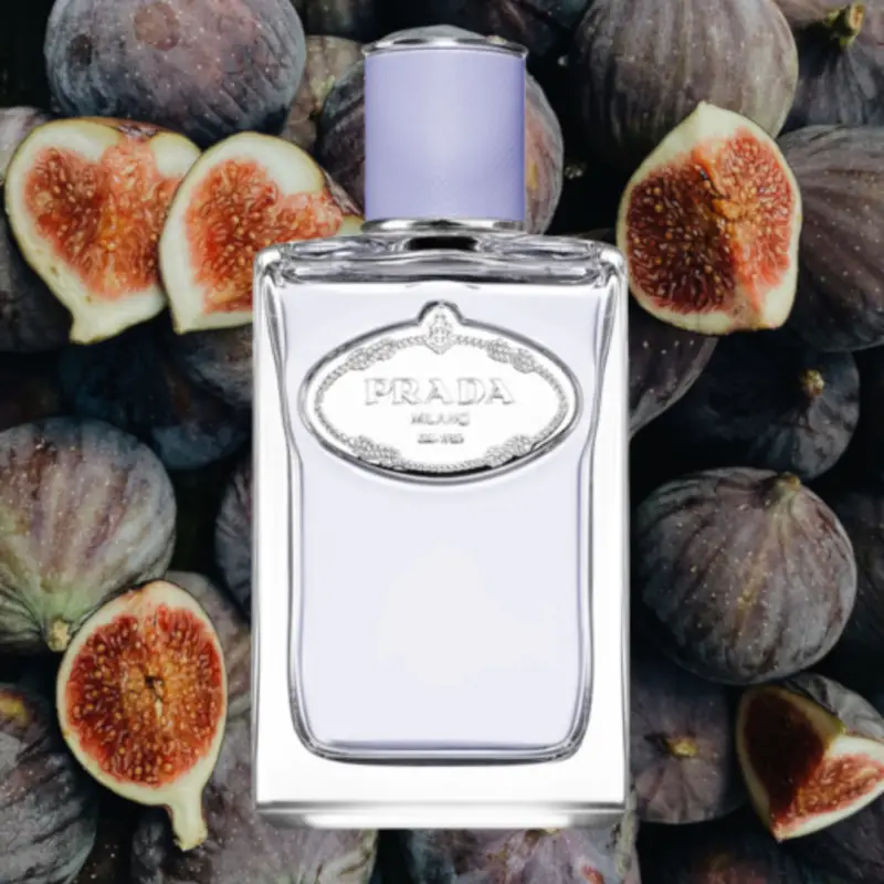 The Ultimate Guide To The Prada Infusions Fragrances | SOKI LONDON