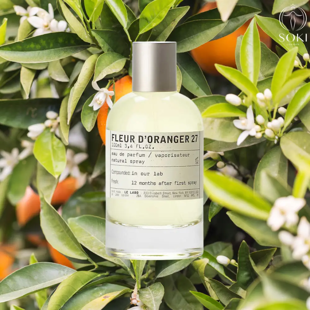 The Ultimate Guide To The Le Labo Fragrances | SOKI LONDON