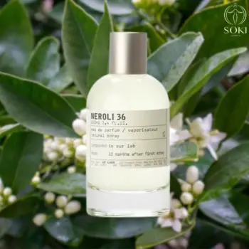 The Ultimate Guide To The Le Labo Fragrances | SOKI LONDON