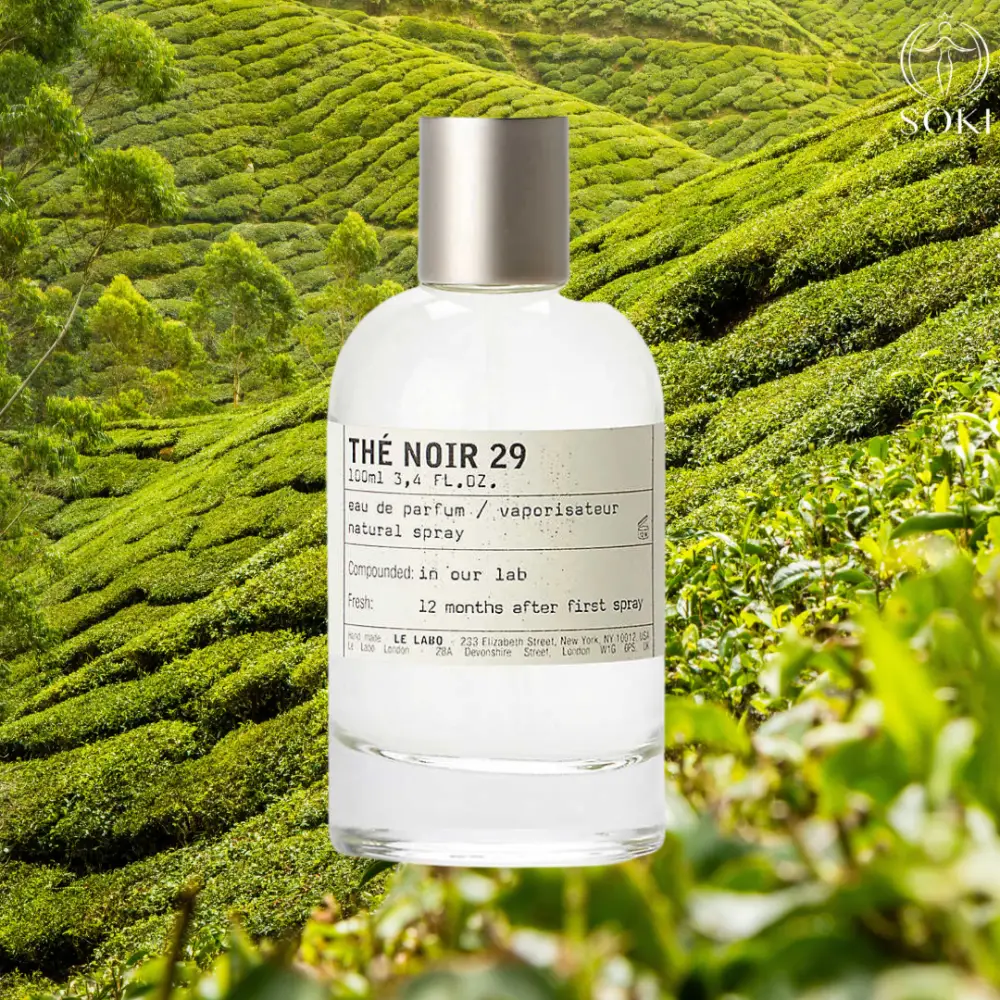 The Ultimate Guide To The Le Labo Fragrances | SOKI LONDON