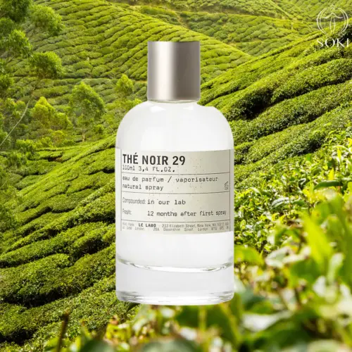 The Ultimate Guide To The Le Labo Fragrances | SOKI LONDON