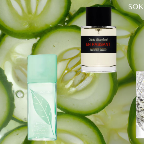 A Guide To The Best Cucumber Fragrances | SOKI LONDON