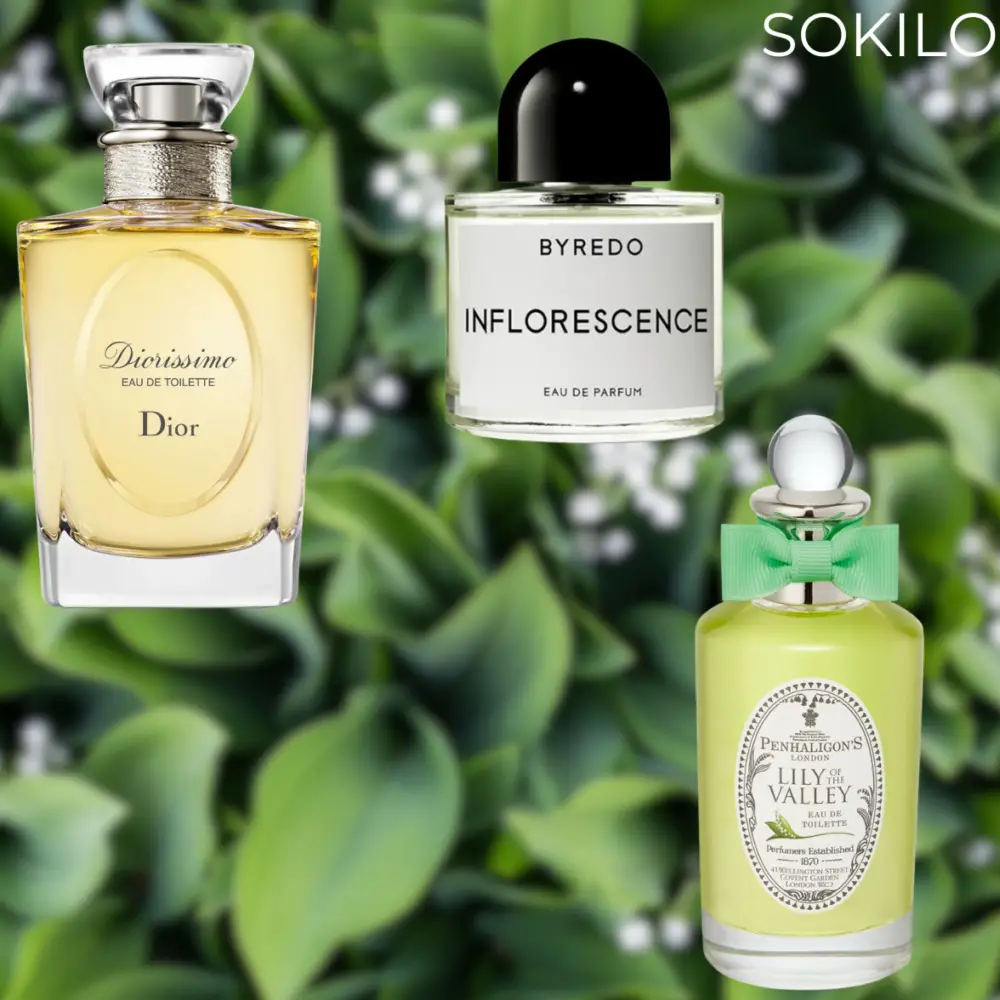 A Guide To The Best Cucumber Fragrances | SOKI LONDON
